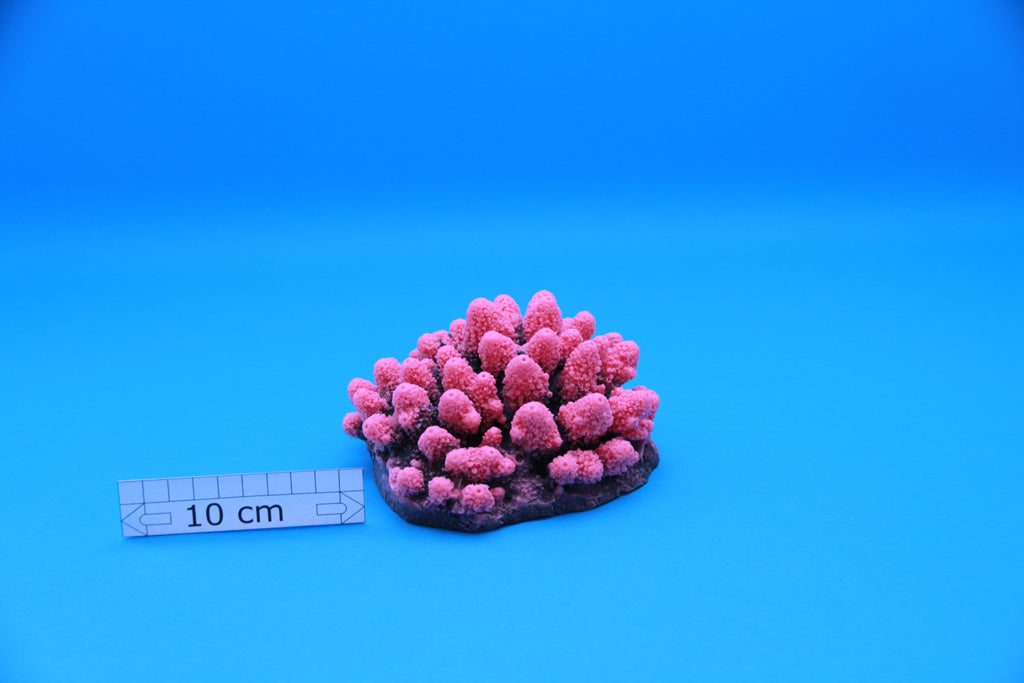 Artificial Acropora Humiles corals in different colors | See more