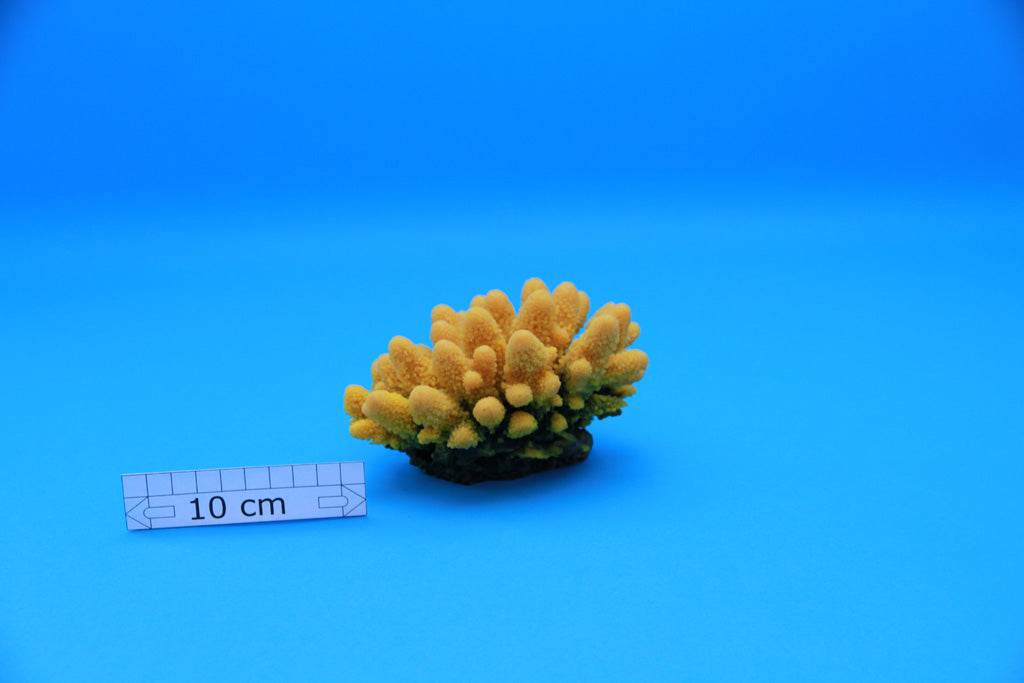 Artificial Acropora Humiles corals in different colors | See more