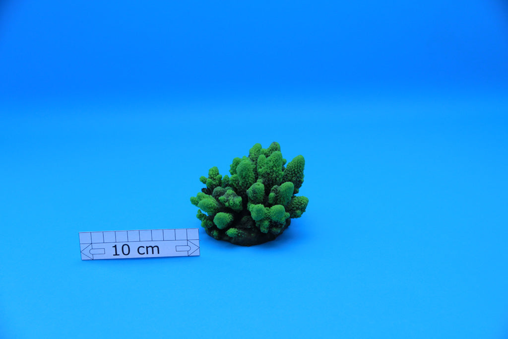 Artificial Acropora Humiles corals in different colors | See more