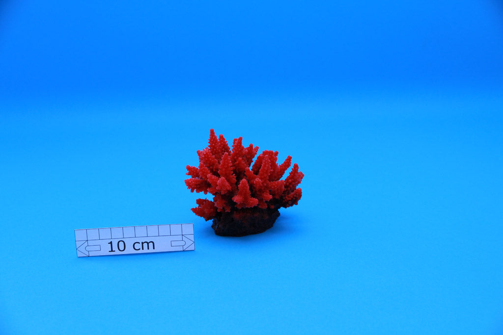 Artificial Acropora Polystoma coral | See more!