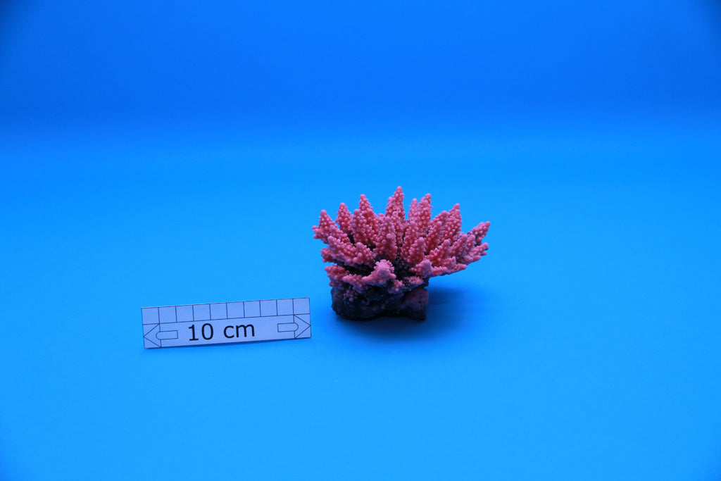 Artificial Acropora Polystoma coral | See more!