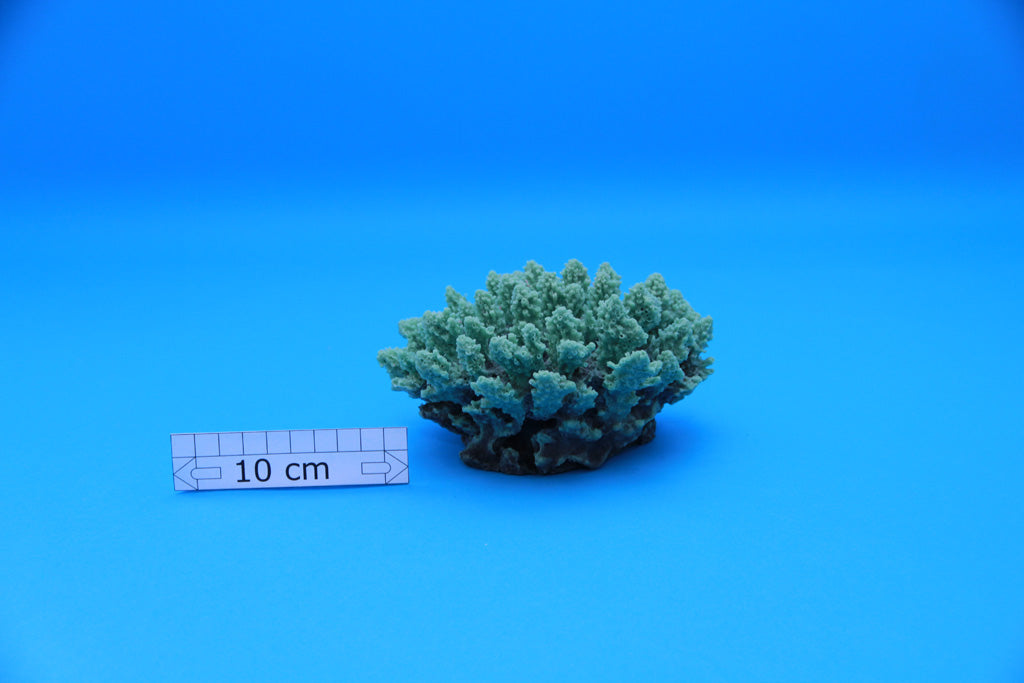 Artificial Acropora Humiles corals in different colors | See more
