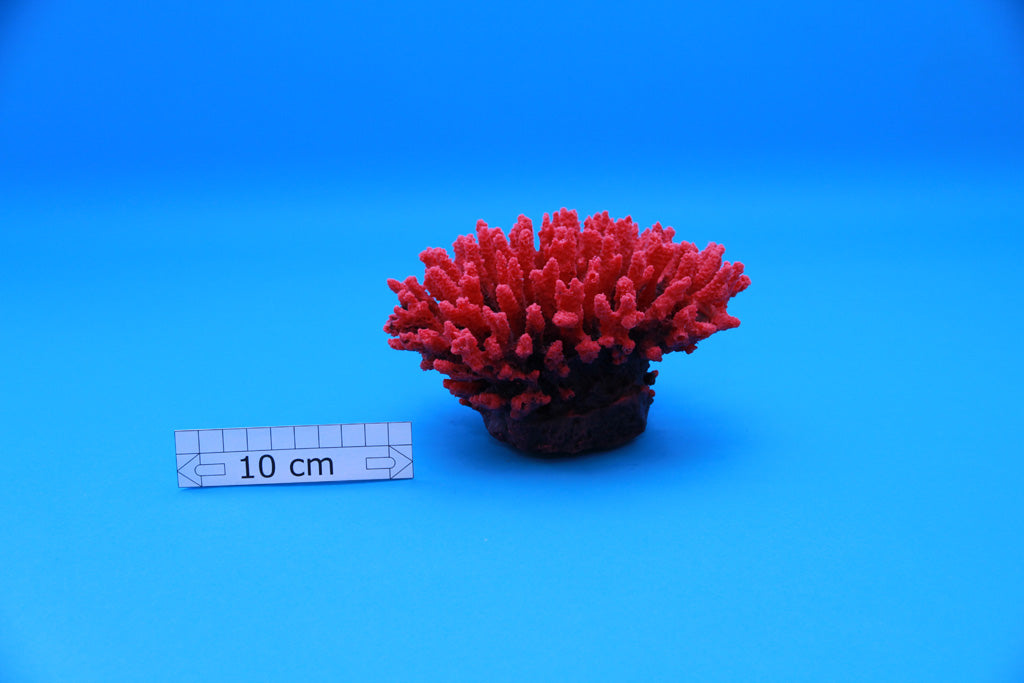 Artificial handmade Acropora Hyacinthus | See more