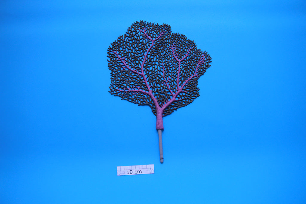 Artificial Gorgonia Coral | See more!