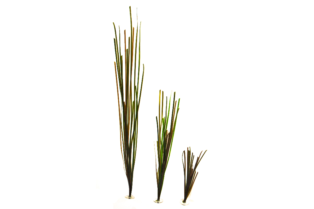 Handmade artificial Eelgrass kelp in different lengths | See more